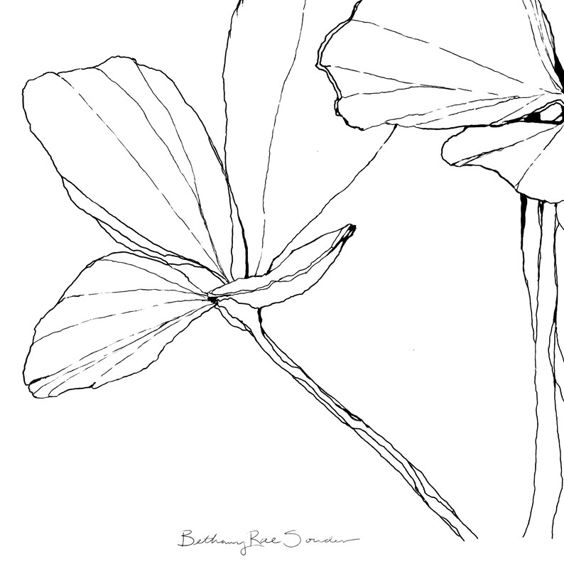 Minimalist Plant Drawing Print - Etsy