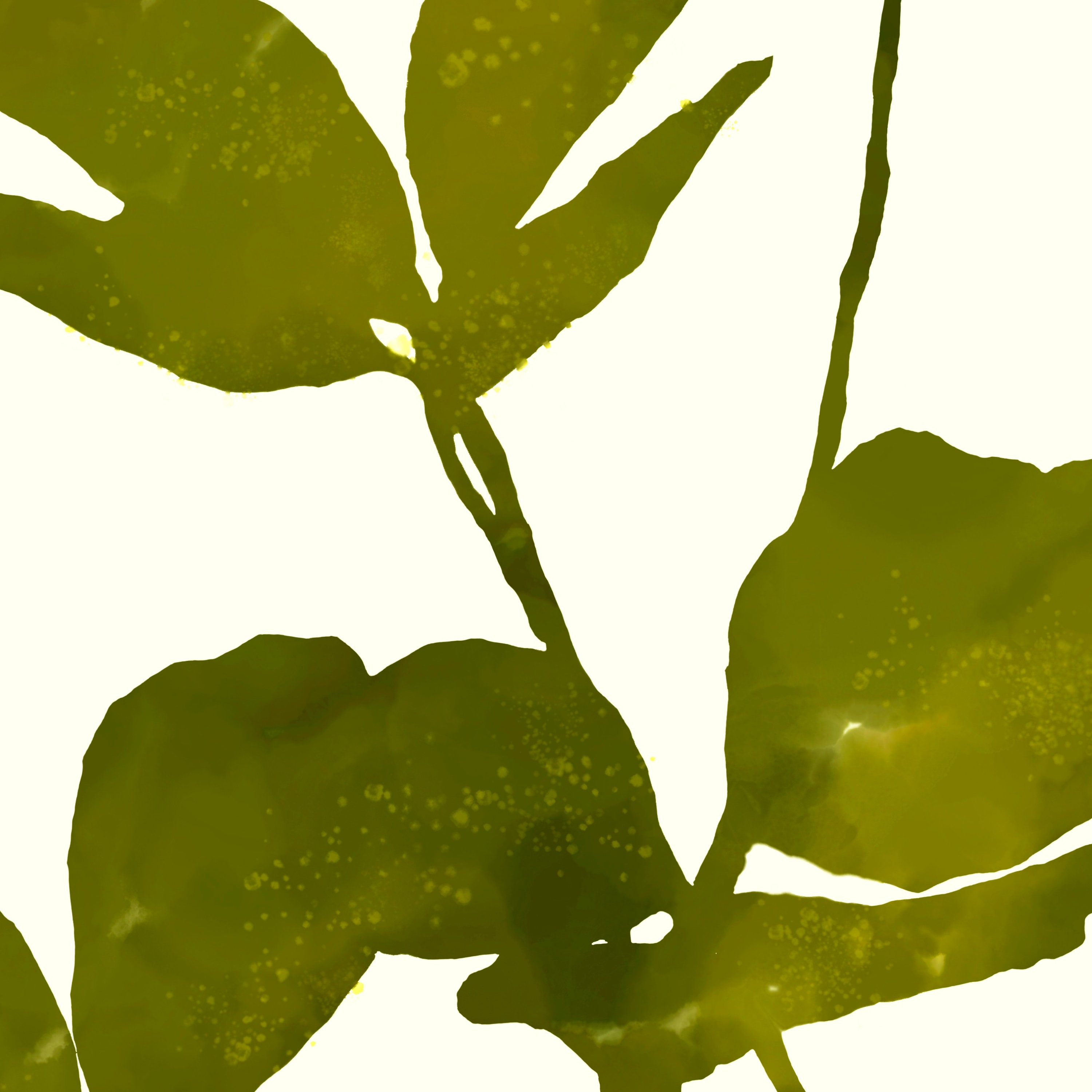 Minimalist Green Plant Print - Etsy