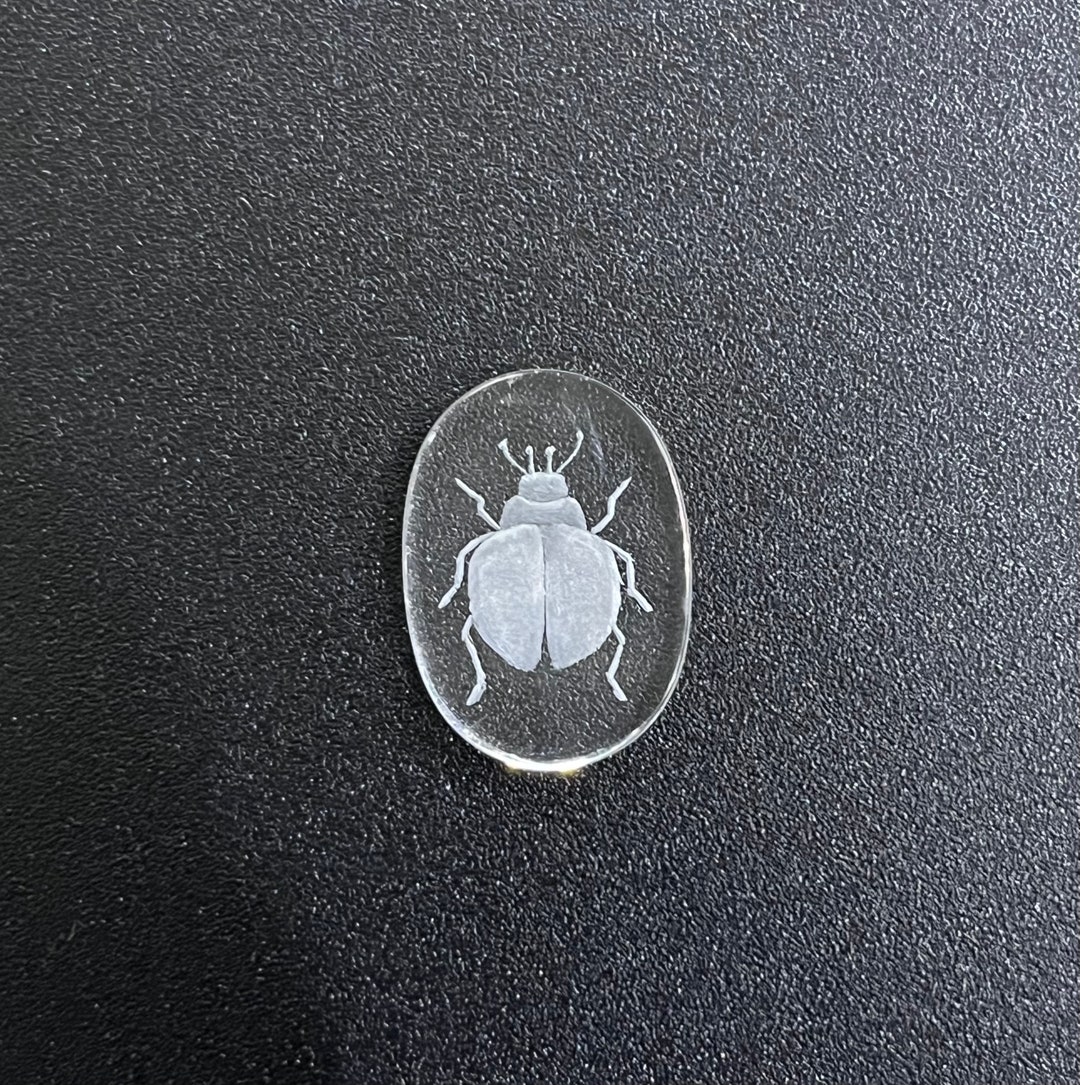 Natural Rock Crystal Hand-carved Bug Intaglio Carving for Jewelry ...