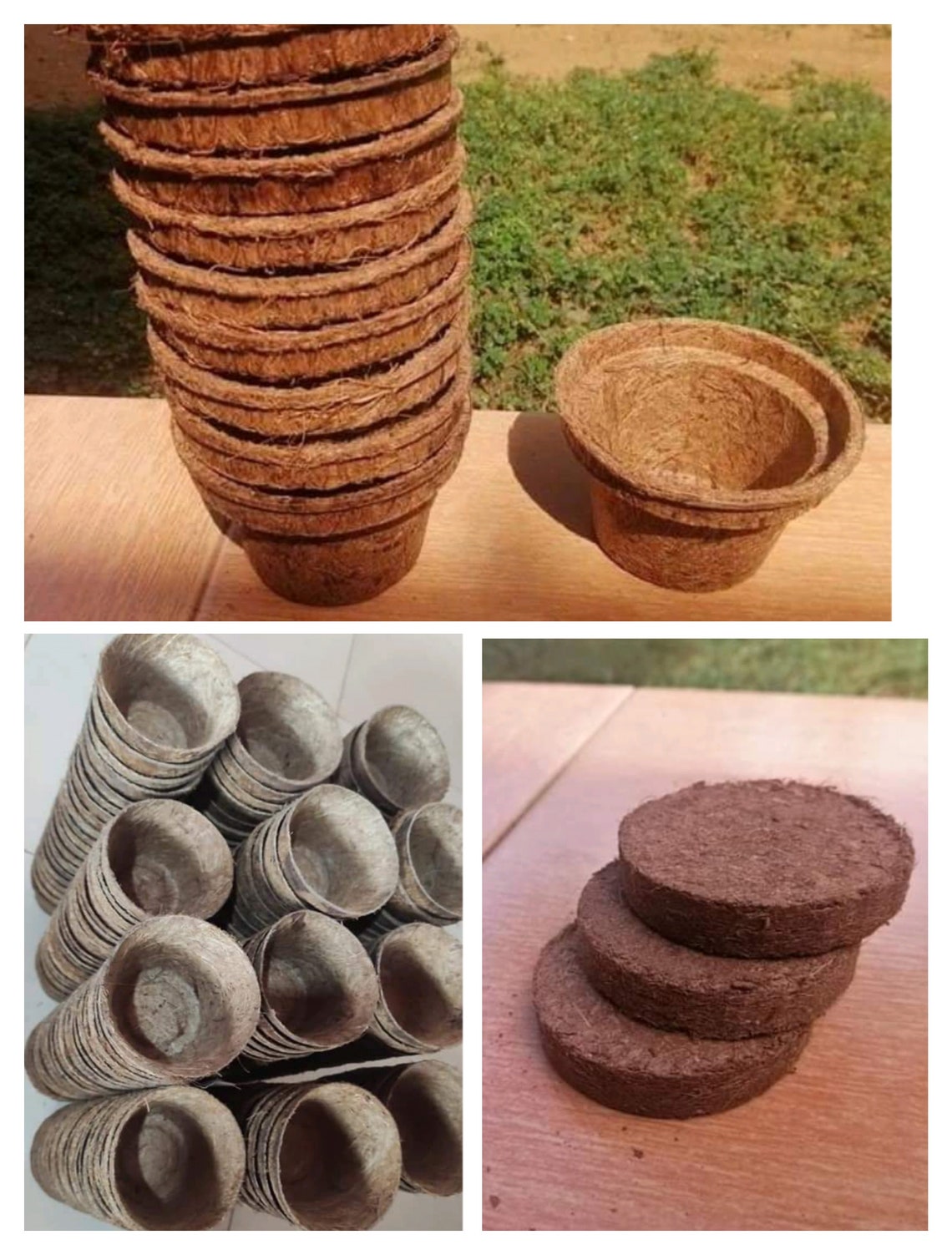 Coco Coir Pots Coconut Fiber Drow Cups Seeds NurseryCactus | Etsy