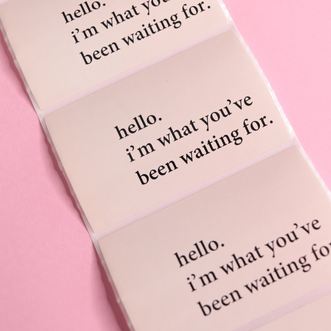 Light Pink Cute Packaging Stickers Shipping Labels Thank - Etsy