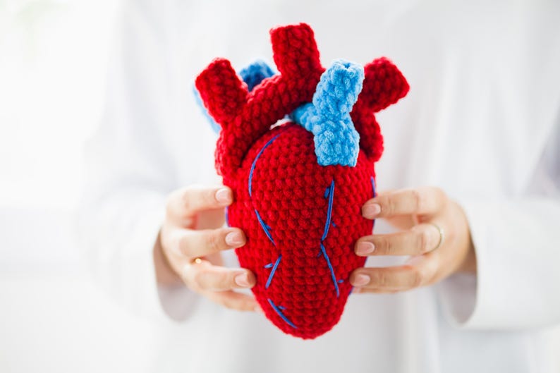 Crochet Pattern Anatomical Heart, Pattern in English, Amigurumi ...