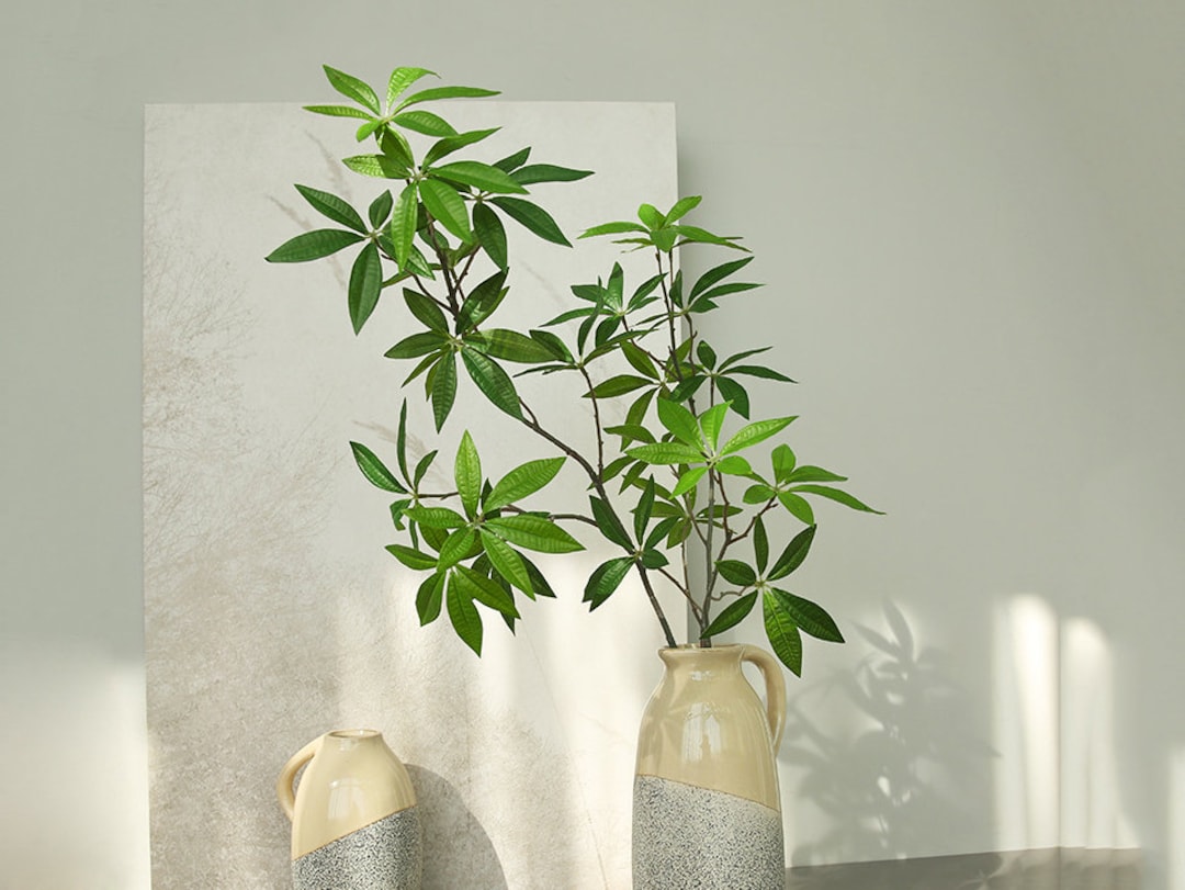 Fake Money Tree Branch With Leaves, Pachira Aquatica Twig, Pieris ...