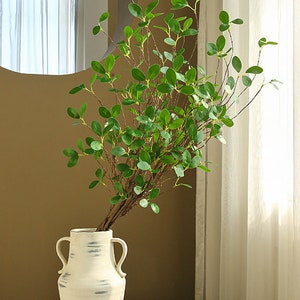Fake Ficus Leaves With Long Branch, Banyan Foliage Twigs, Aglaia ...