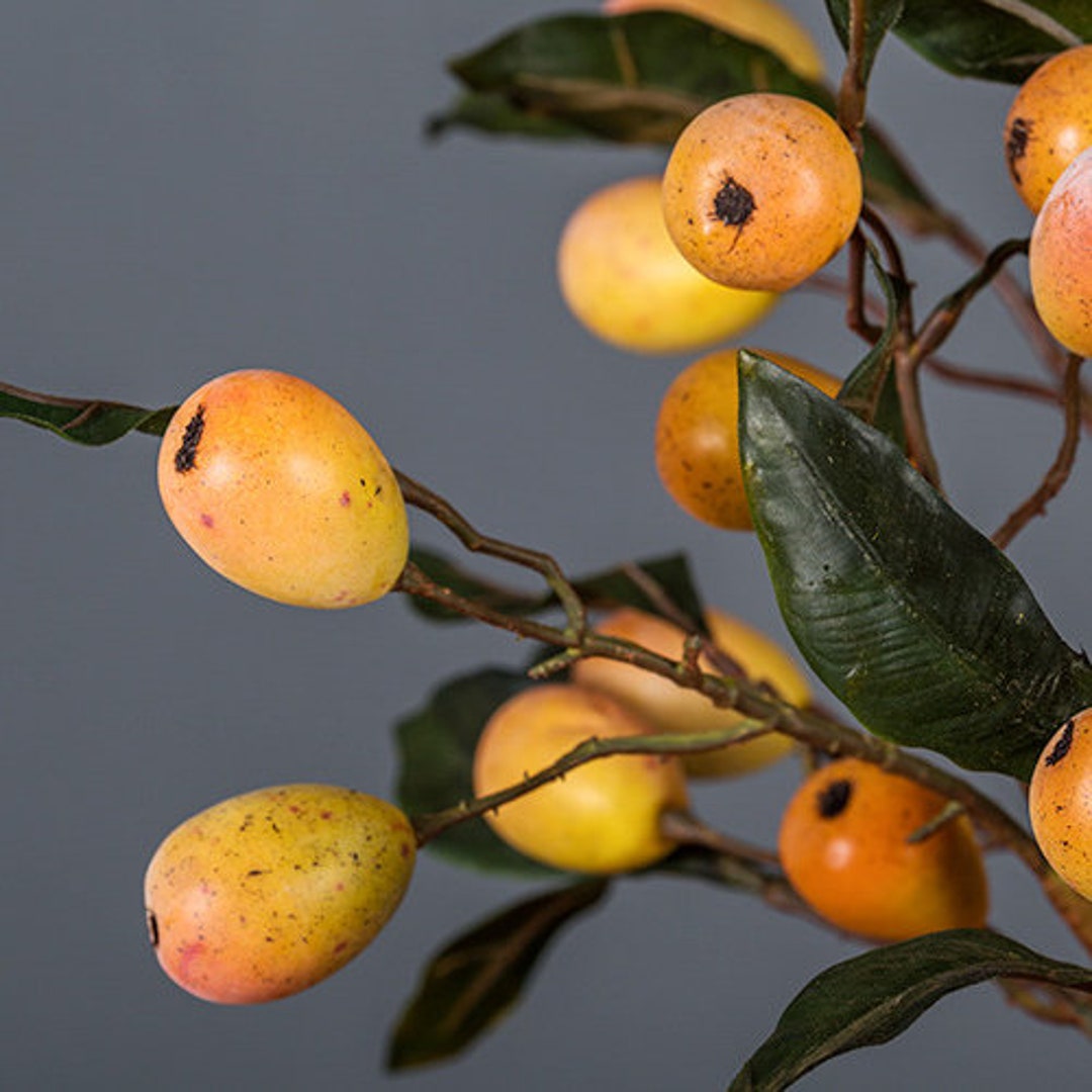 Realistic Loquat With Foliage, Artificial Quality Fruit Branch, Party ...