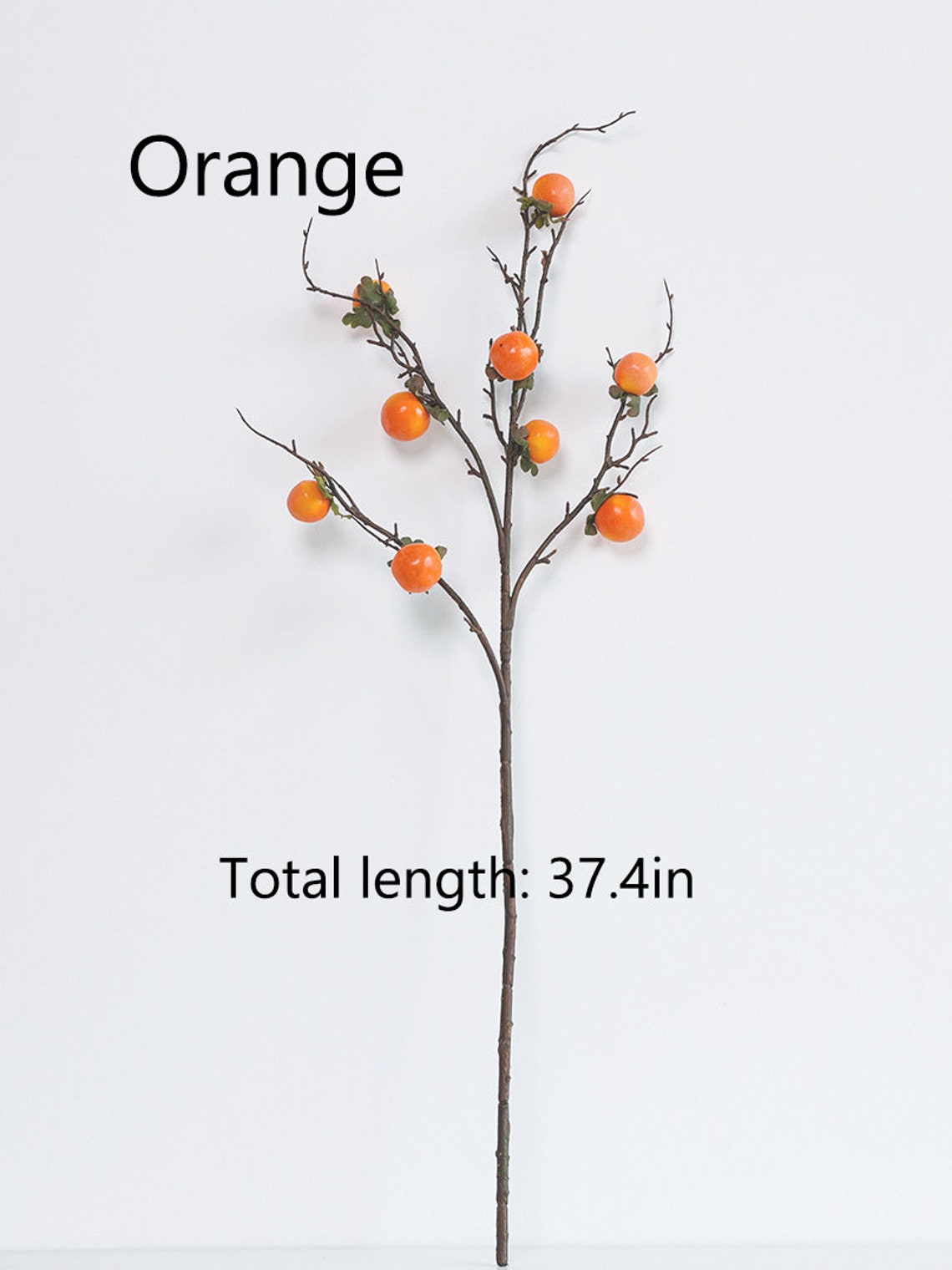 Small Persimmon Fruit Branch, Rustic Berry Stem, Fall Fruit Craft ...