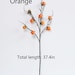 Small Persimmon Fruit Branch, Rustic Berry Stem, Fall Fruit Craft ...