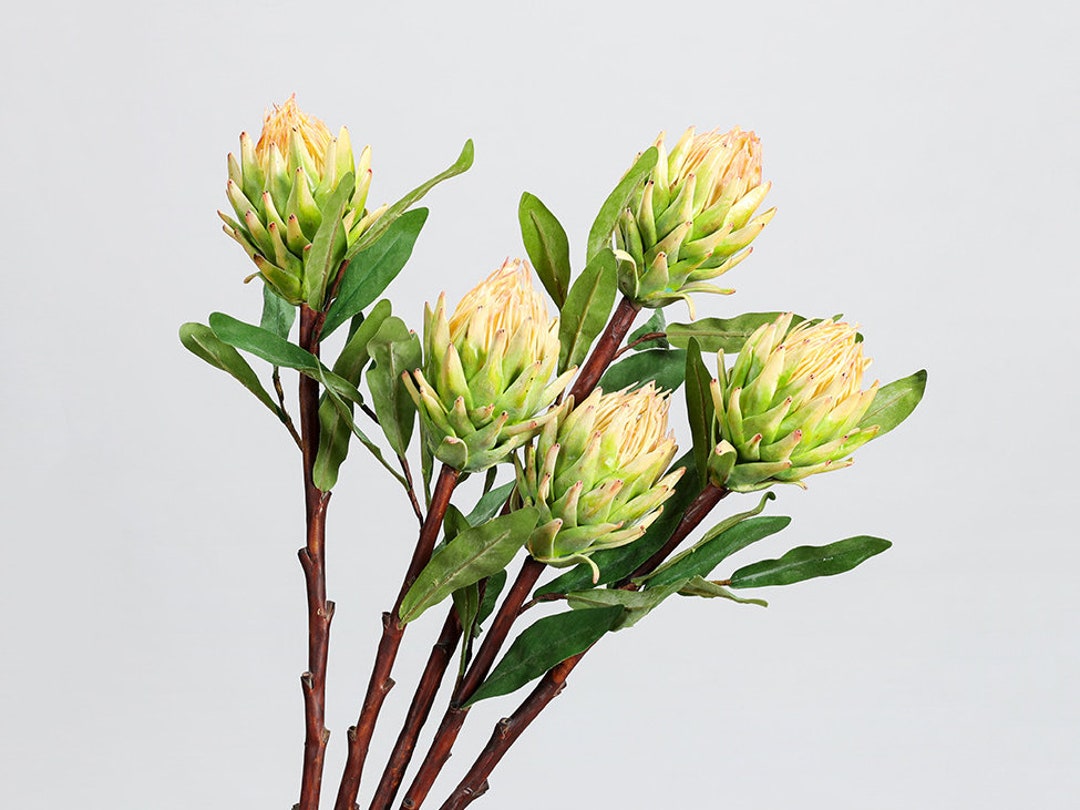 Artificial Protea Cynaroides Stem With Leaves, Faux King Protea ...