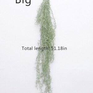 Artificial Air Grass Long Vine, Fake Air Plant, Realistic Hanging Wall ...