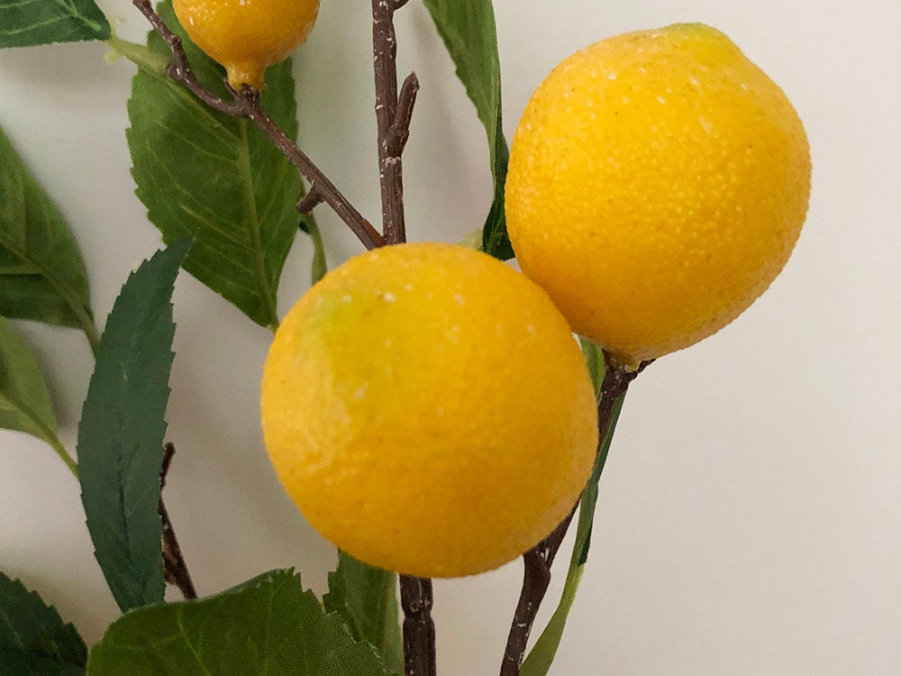 Artificial Fresh Lemon Fruit Fake Lime Arrangement Plastic | Etsy