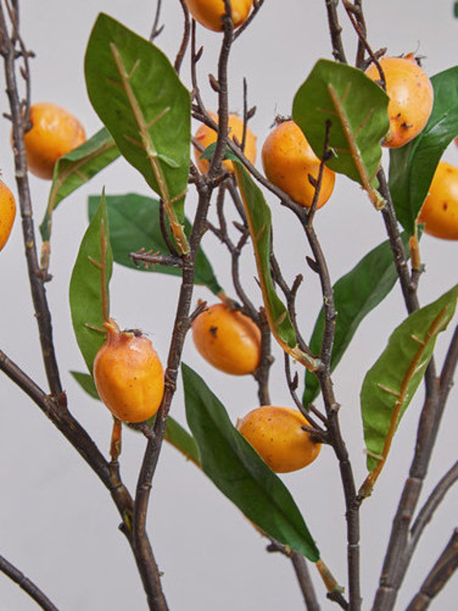 Loquat Fruit Long Branch With Leaves, Fake Berry Craft, Rustic Wild ...