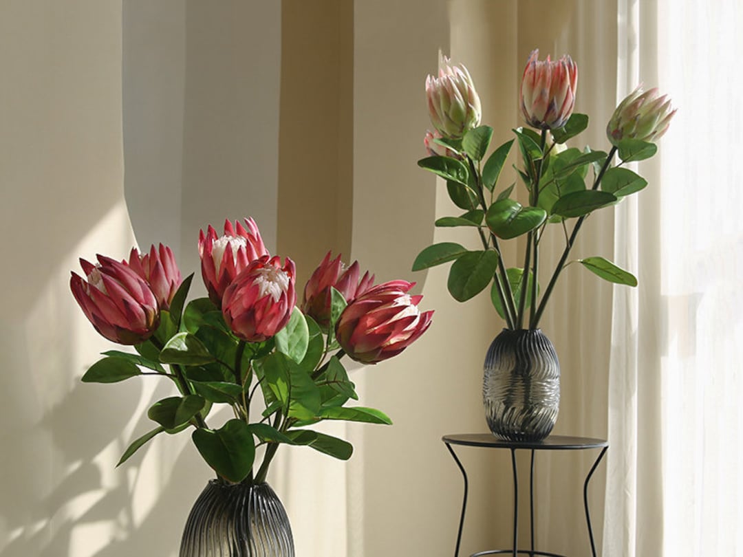Protea Flower Stems With Leaves, Tropical Bloom Crafts, Artificial ...