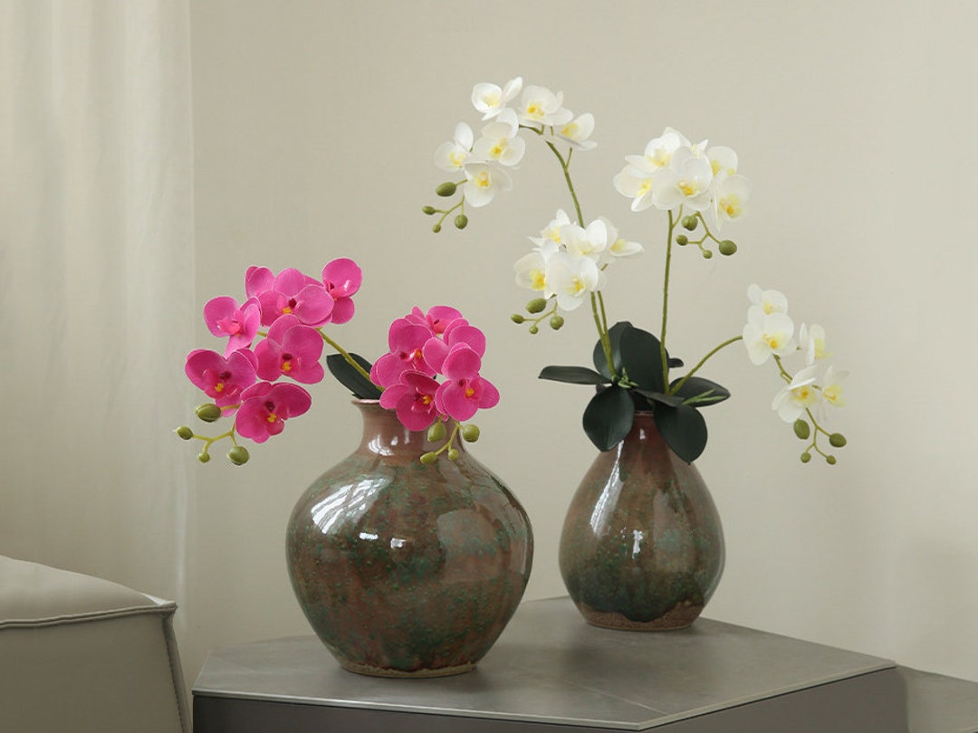 Artificial Phalaenopsis Plant With Leaves and Roots, Fake Phalaenopsis ...