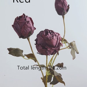 Dried Rose Stems With Buds, Artificial Flower Crafts, Vintage Home ...