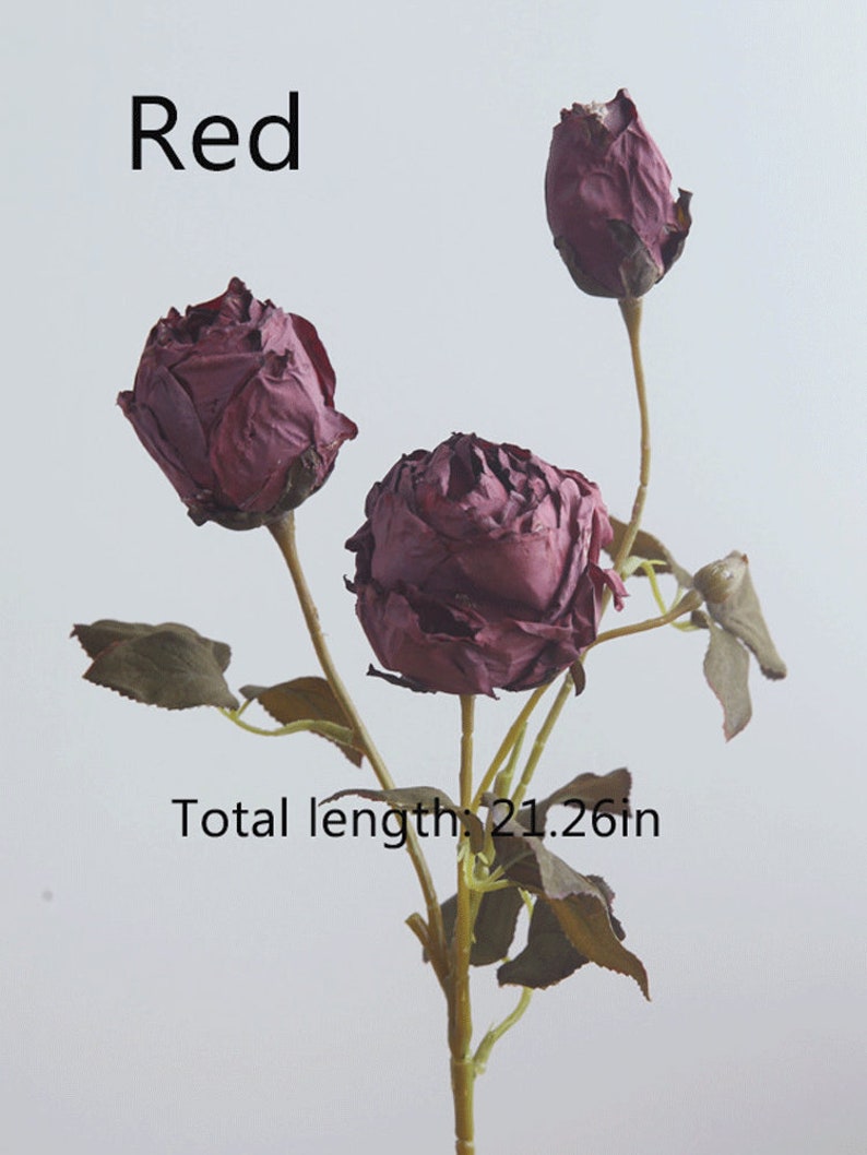 Dried Rose Stems With Buds, Artificial Flower Crafts, Vintage Home ...