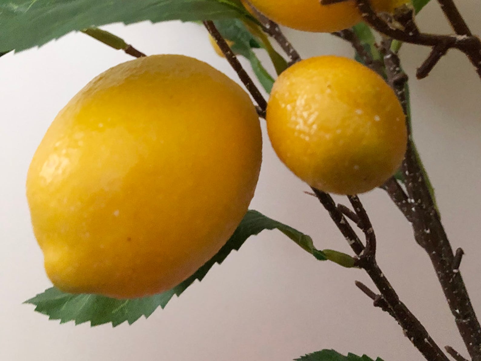 Artificial Fresh Lemon Fruit Fake Lime Arrangement Plastic | Etsy