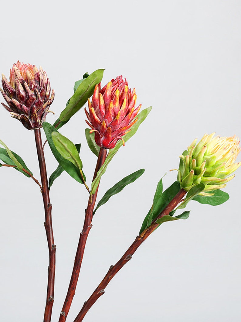 Artificial Protea Cynaroides Stem With Leaves, Faux King Protea ...