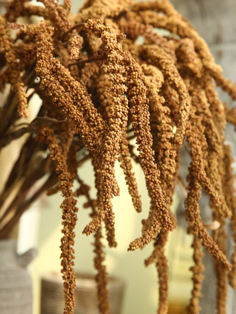 Fake Cereal Stem With Leaves, Rustic Grains, Faux Millet Crafts ...