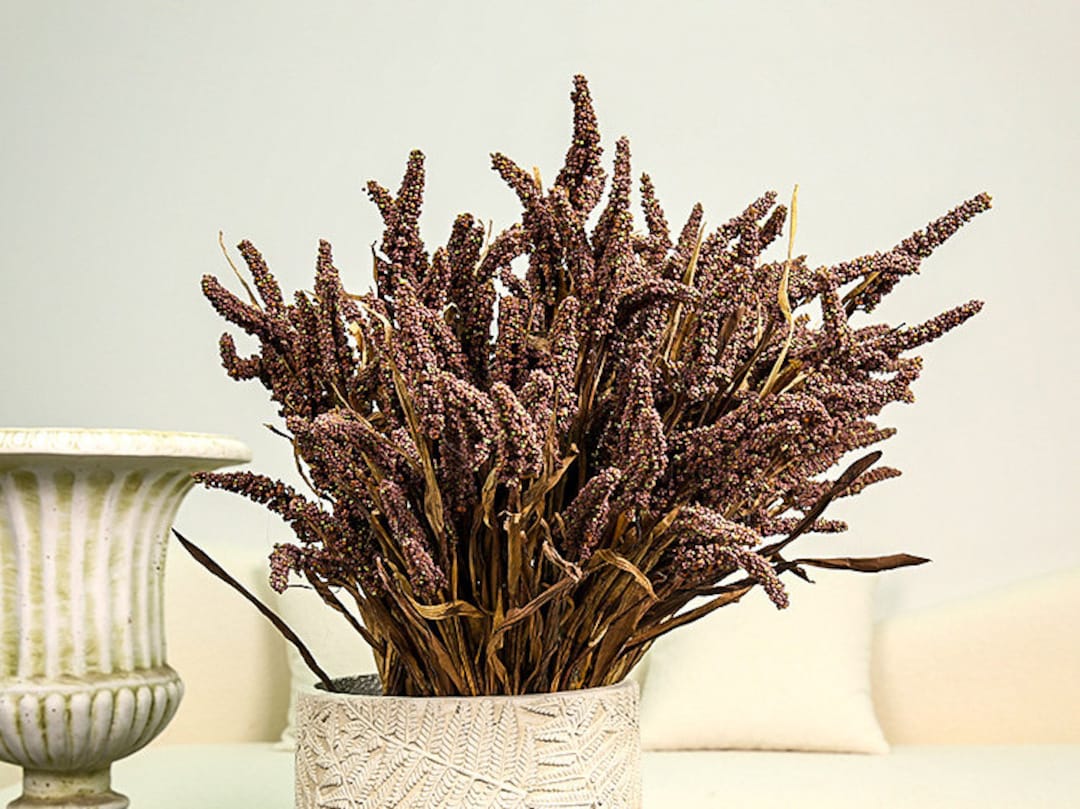 Faux Grain Stem With Leaves, Rustic Dried Cereal, Fake Millet Crafts ...