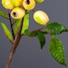 Loquat Fruit Stem With Foliage Artificial, Faux Berry Branch, Quality ...