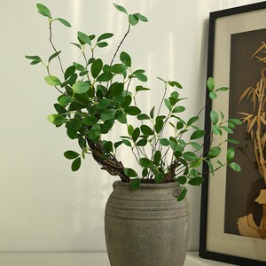 Fake Ficus Leaves With Long Branch, Banyan Foliage Twigs, Aglaia ...