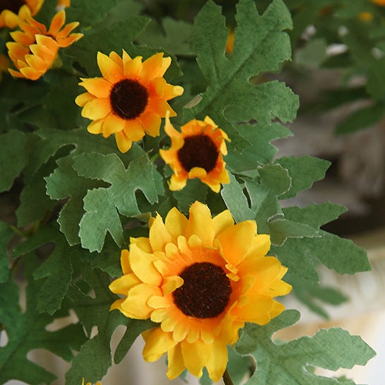 Climbing Sunflower With Long Cane Artificial Trailing Daisy - Etsy