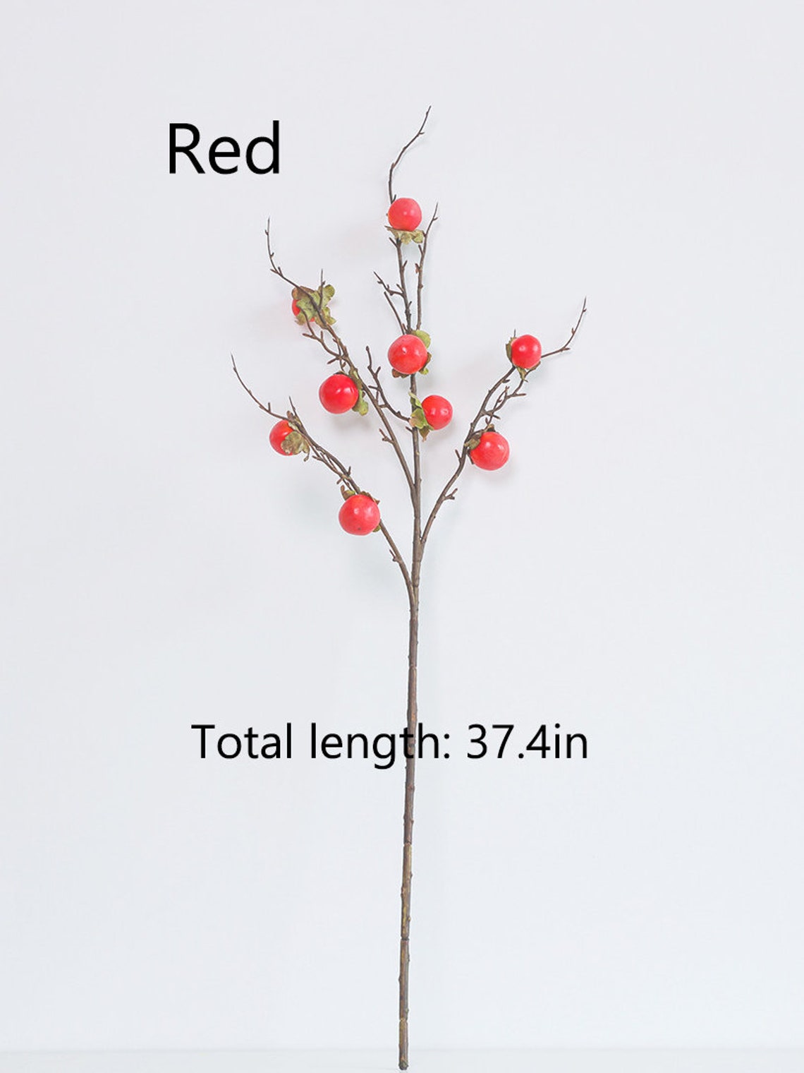 Small Persimmon Fruit Branch, Rustic Berry Stem, Fall Fruit Craft ...