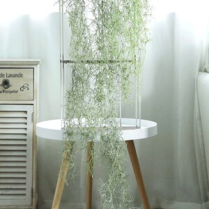 Artificial Air Grass Long Vine, Fake Air Plant, Realistic Hanging Wall ...