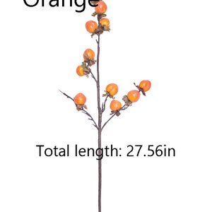 Small Persimmon Branch, Fall Fruit Craft, Rustic Berry Stem, Home ...