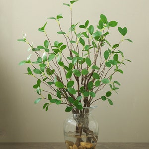 Fake Ficus Leaves With Long Branch, Banyan Foliage Twigs, Aglaia ...