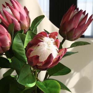 Protea Flower Stems With Leaves, Tropical Bloom Crafts, Artificial ...