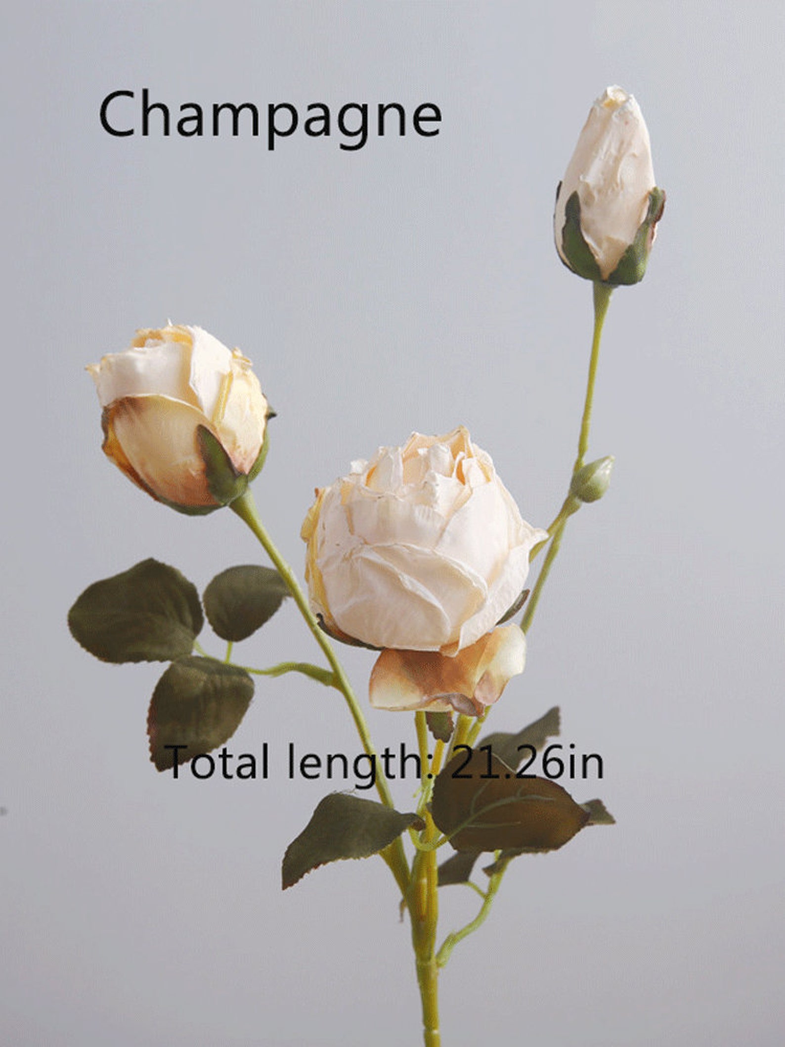 Dried Rose Stems With Buds, Artificial Flower Crafts, Vintage Home ...
