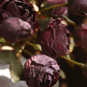 Dried Rose Stems With Buds, Artificial Flower Crafts, Vintage Home ...