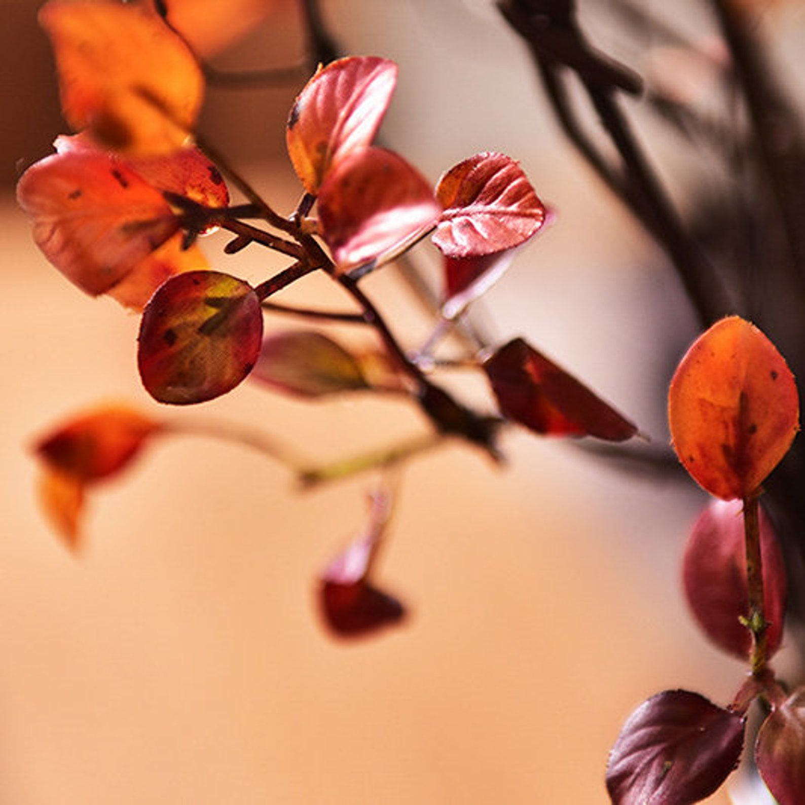 61.81“ Autumn Leaf Long Stem Fake Tree Branch With Fall Foliage Home ...