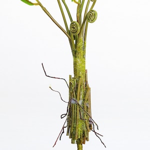 Fern Plant With Roots, Fake Greenery Craft, Artificial Flowers, Home ...