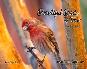 Texas Wall Calendar - Etsy