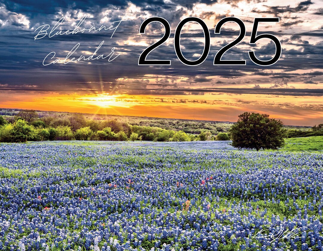 2025 Texas Bluebonnet Flower Photography Art Wall Calendar 13 Month 11 ...