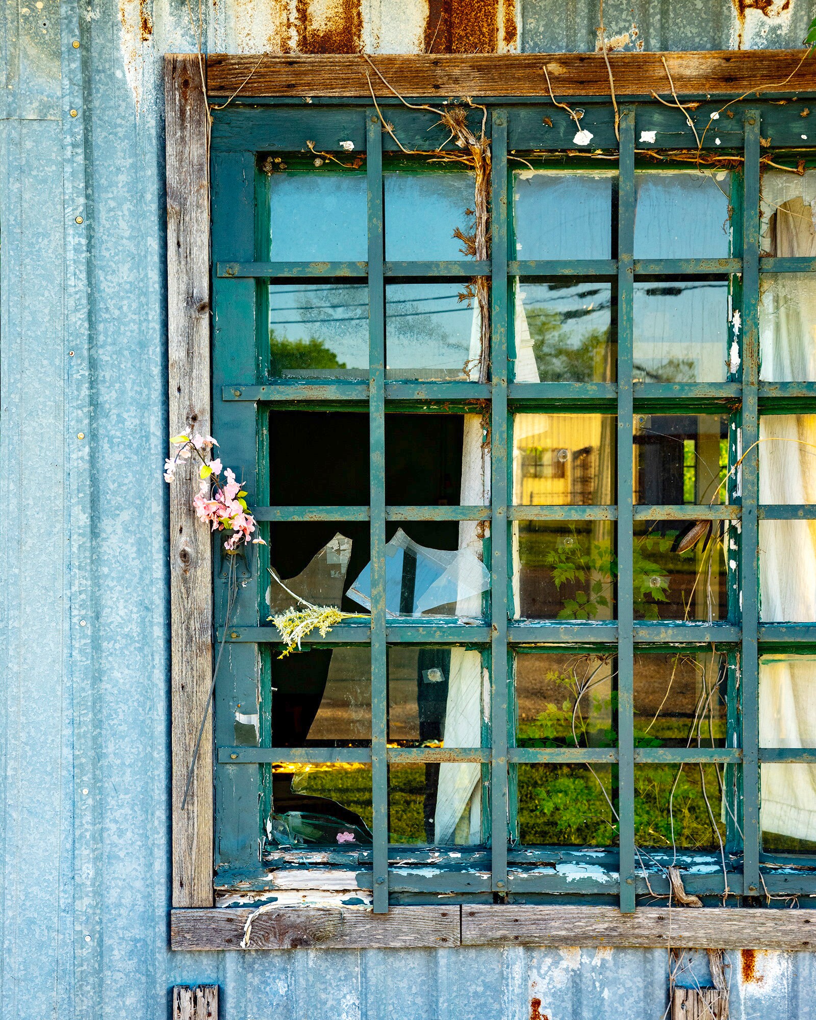Rustic Charm Window Photography Print: Vintage Tin Wall, Green Frame ...