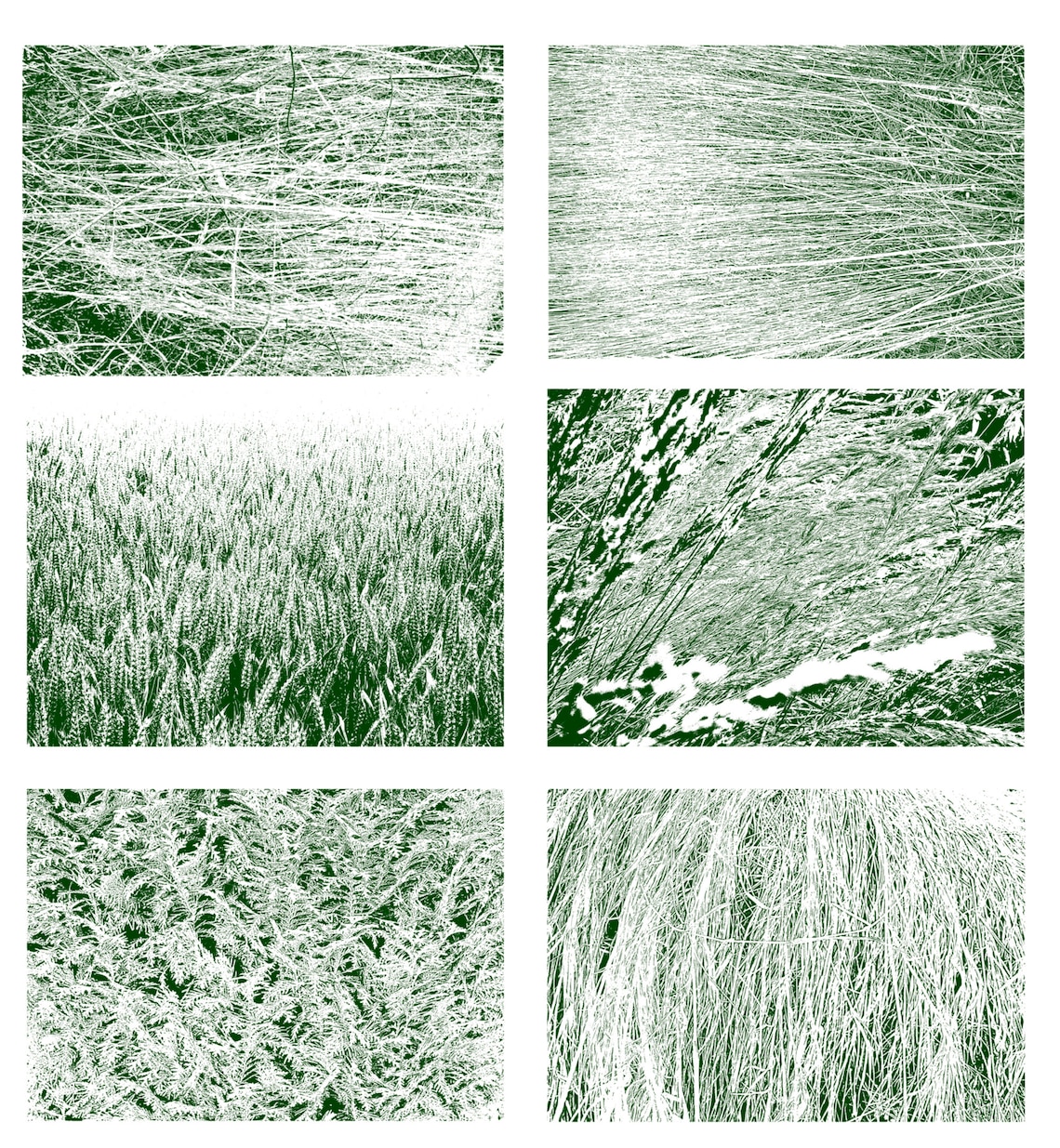 Grass texture brush photoshop - locareer