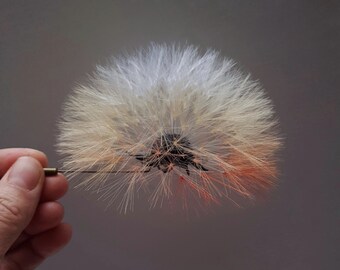 Dandelion Brooch | Etsy