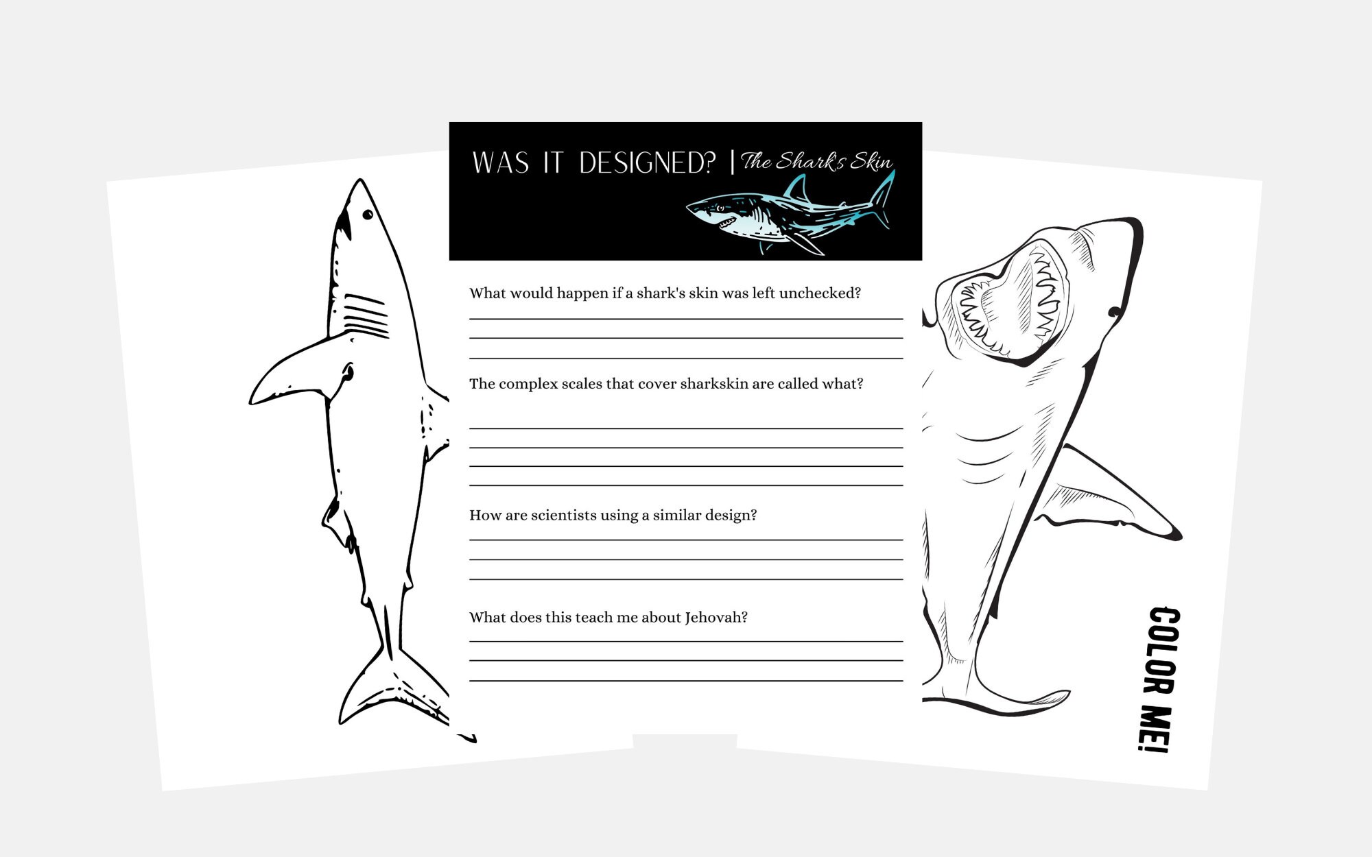 Was It Designed Worksheet and Coloring Pages - Shark - Etsy