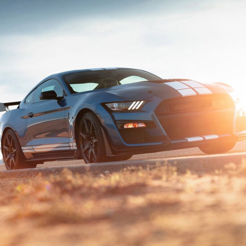 Car Sticker Ford Mustang GT Shelby 500 Car Hood Roof Trunk Vinyl Decals ...