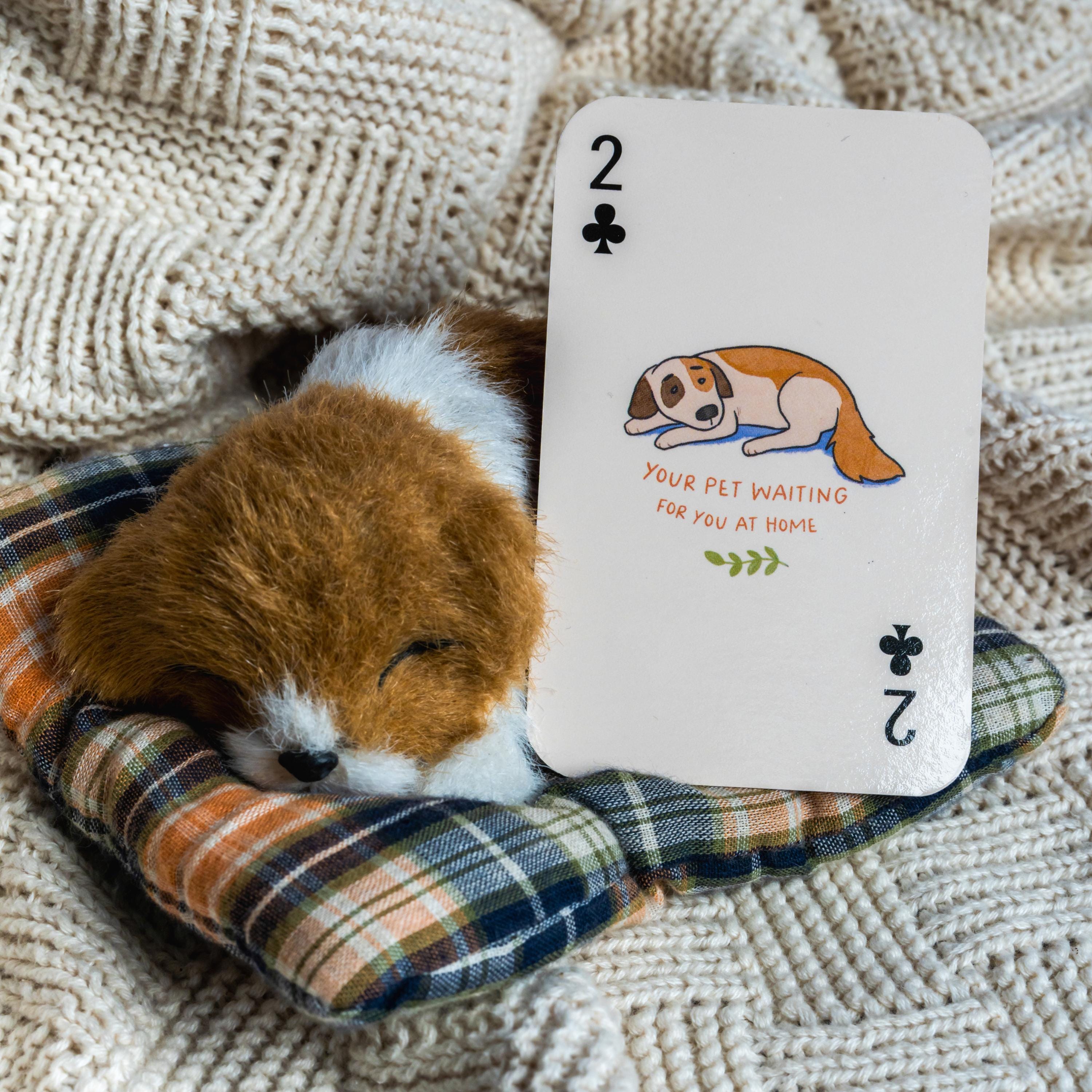52 Little Things Playing Game | Mindfulness Deck | Unique Gift for ...