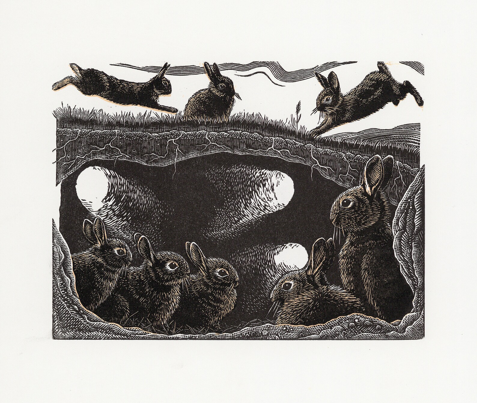 A Fluffle of Rabbits - Etsy