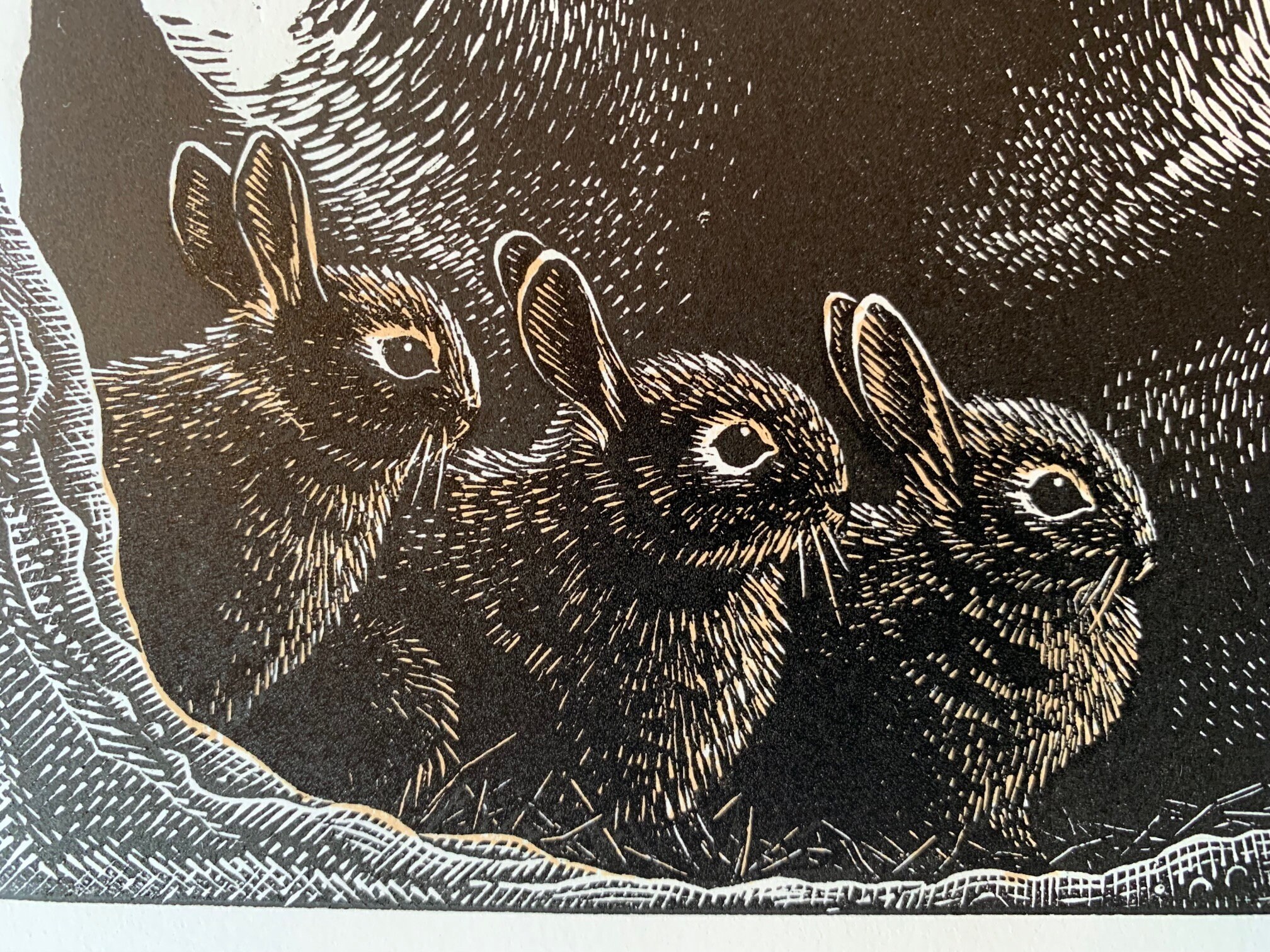 A Fluffle of Rabbits - Etsy