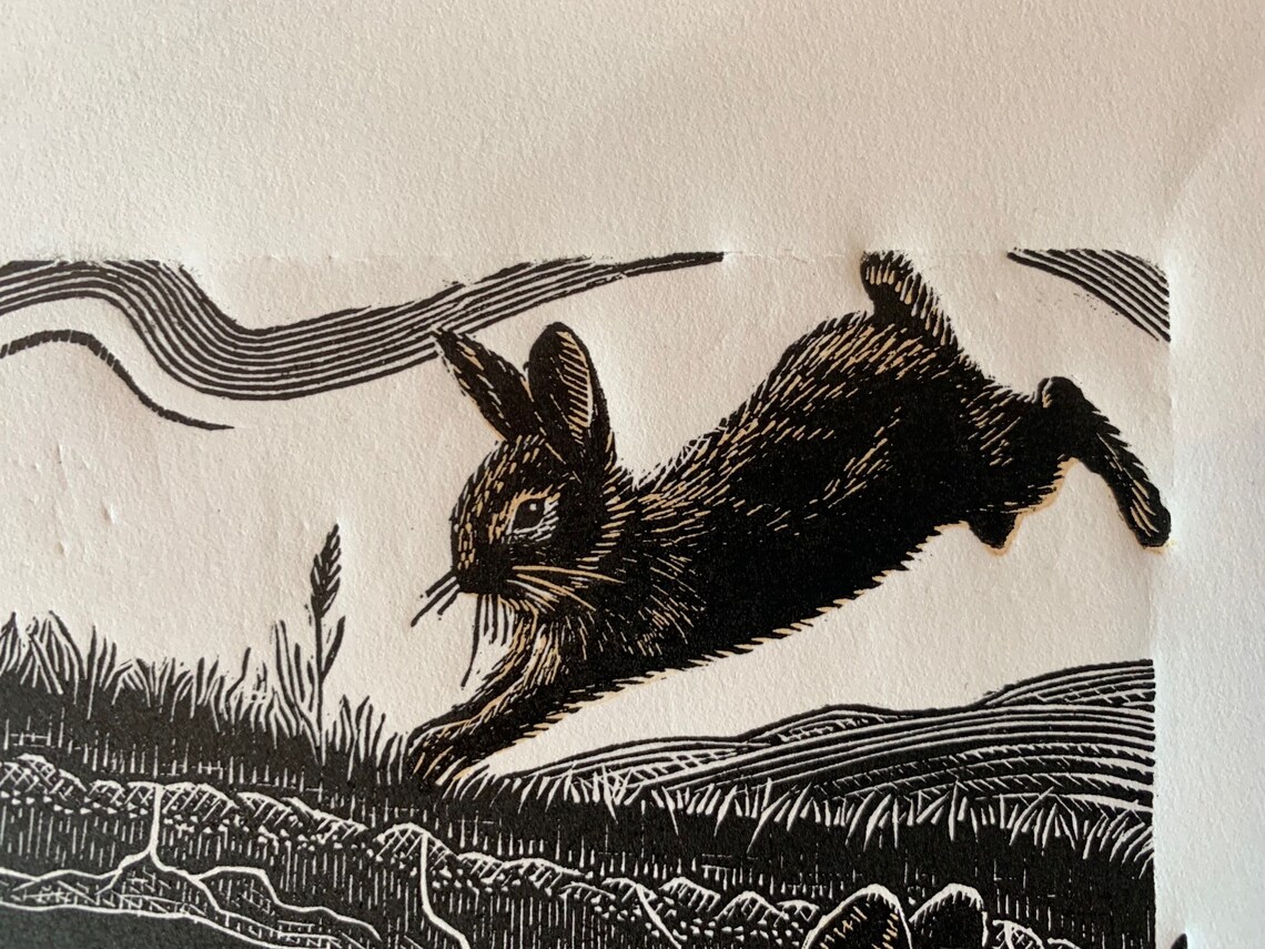 A Fluffle of Rabbits - Etsy