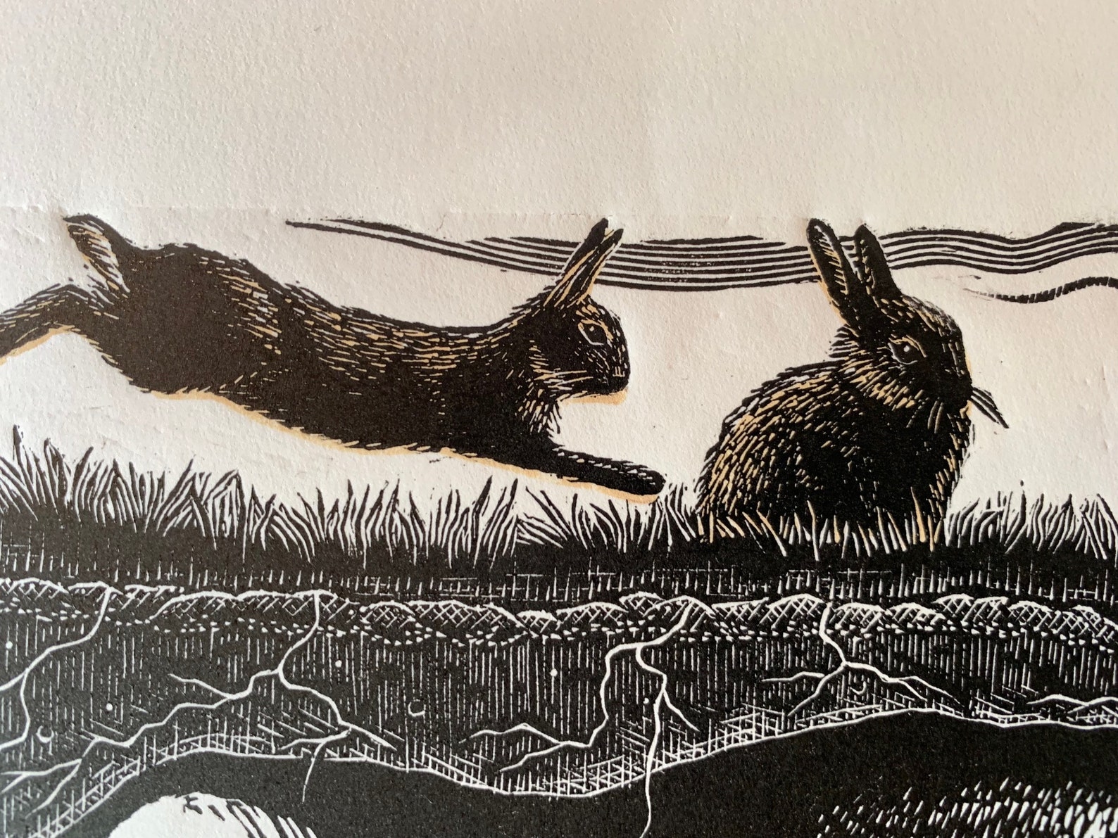 A Fluffle of Rabbits - Etsy