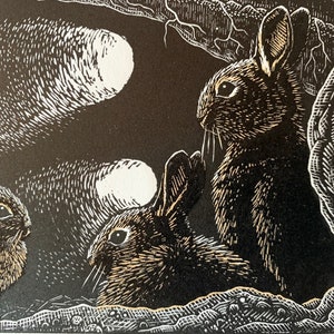 A Fluffle of Rabbits - Etsy