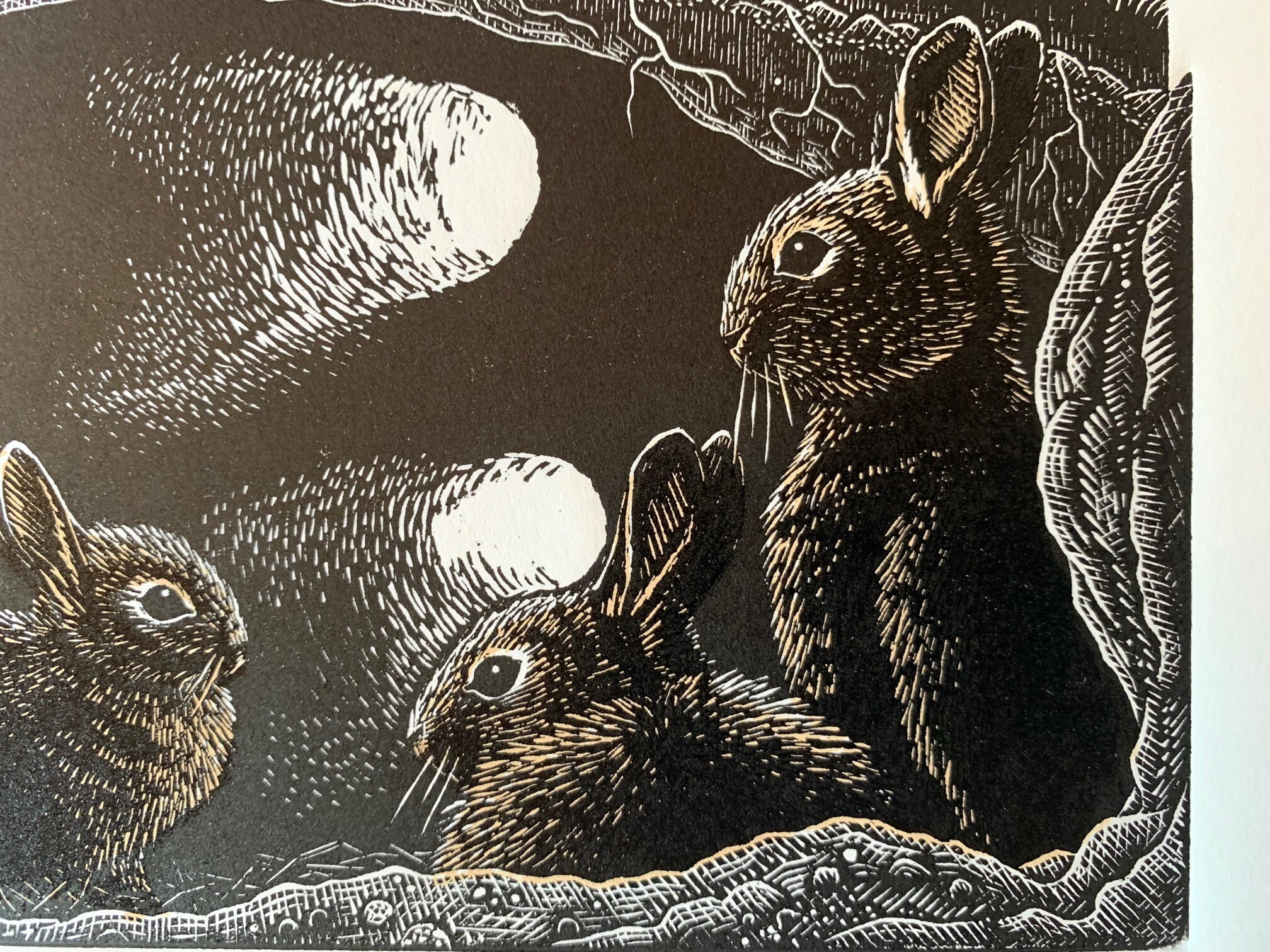 A Fluffle of Rabbits - Etsy