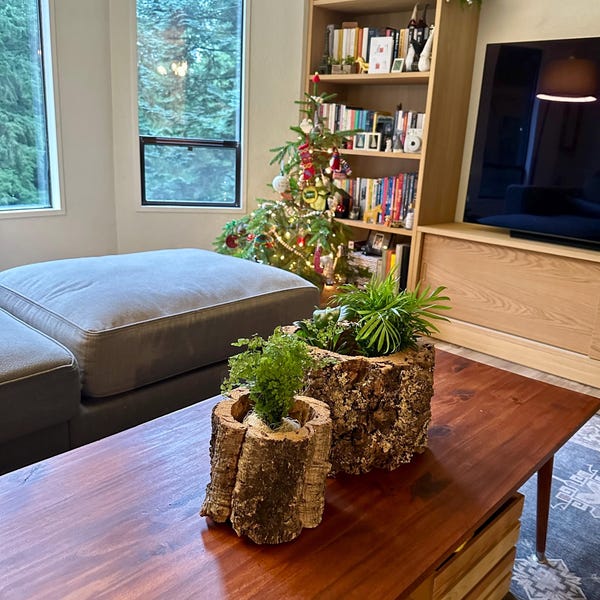 Log Vase - Etsy